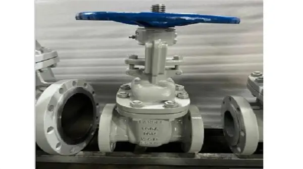 ASTM A216 WCB Gate Valves, JIS, 100A, 10K | Landee