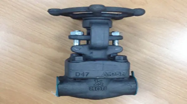 Reduced Bore Forged Gate Valve, NPT, 800# | Landee