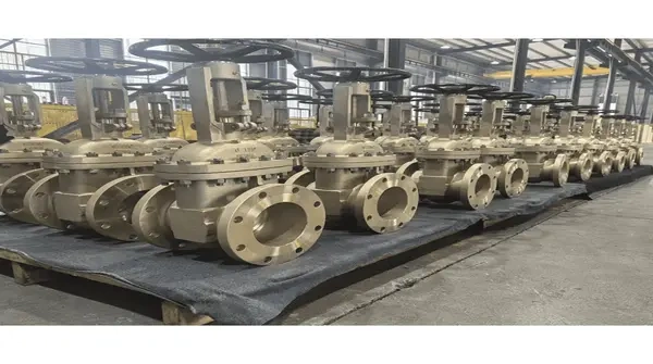 API 600 Gate Valve, Al-Bronze ASTM B148 C95800, 6 IN, 150 LB | Landee
