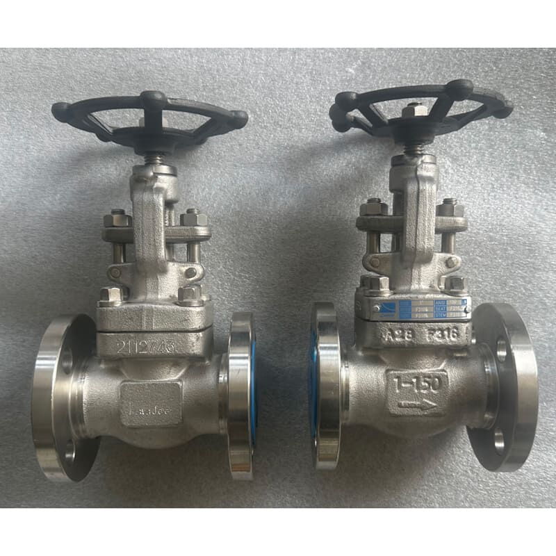ASTM A182 F316 Globe Valve, ISO 15761, 1 IN, Class 150 LB, FF | Landee