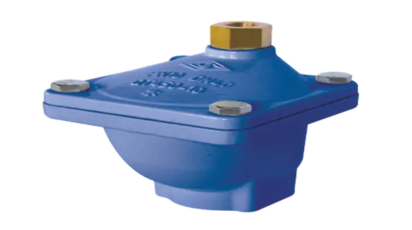 ASTM A536 65-45-12 Micro Air Bleed Valves, 1-1/2 IN, 300 PSI | Landee