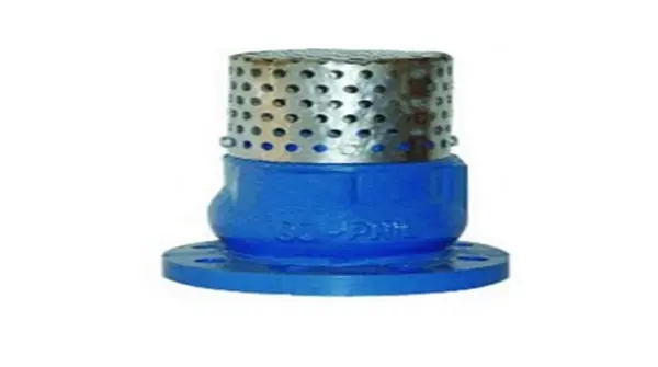 ANSI, DIN, BS Foot Valve, 6 Inch, DN150, PN16, Cast Iron | Landee