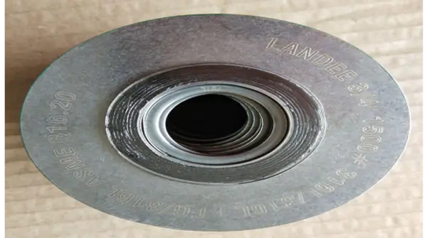 ASME B16.20 SW Gaskets, SS 316L, 3/4 Inch, DN20, 1500 LB, RF | Landee