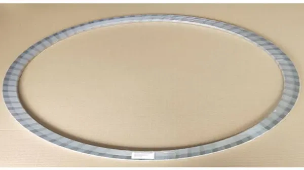 Graphite Filled SW Gasket, SS 316 Hoop, SS 304 IR, OD 773 mm | Landee