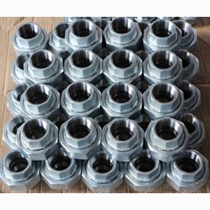 Pipe Union, Pipe Unions Manufacturer - Landee