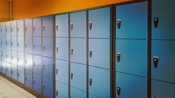 Revolutionizing Gym Locker Rooms with Digital Cam Locks | Topper