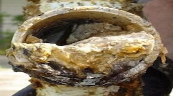 Grease Deposits in Sewer Systems | Landee