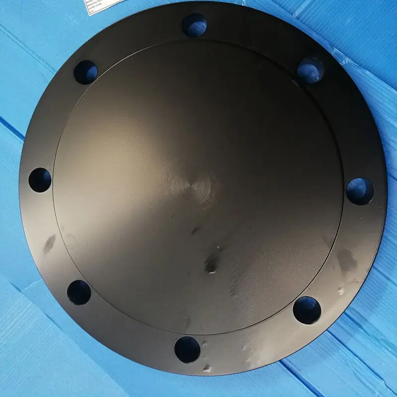 ASME B16.5 Blind Flange - Landee