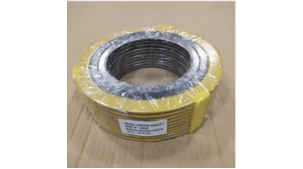 ASME B16.20 SPWD Gaskets, SS 304 IR, Graphite Filler, 4 Inch | Landee