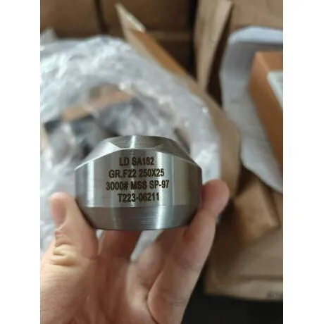 High Pressure Weldolet, ASTM A105, 3/4 Inch, Class 6000 LB - Landee