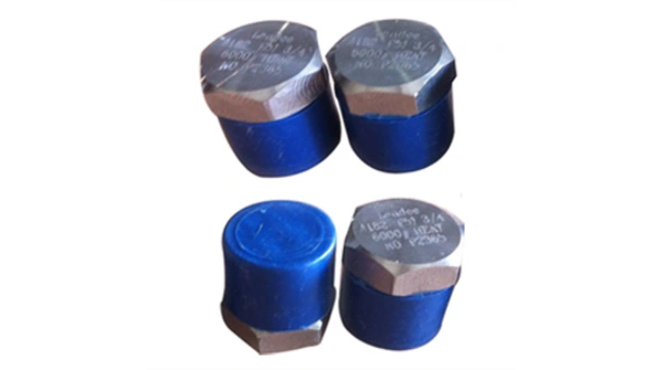 Hex Head Plug, ASTM A182 GR F51, UNS S31803, MNPT Ends | Landee