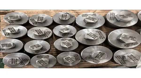 P355GH Half Coupling & Hex Head Plug, 1/2 Inch, CL3000, BSPP | Landee