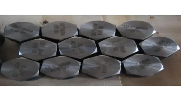 ASME B16.11 Threaded Plug, ASTM A105, 1 Inch, 6000 LB, MNPT | Landee