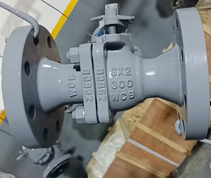 Reduce Port Ball Valve, BS 5358, ASTM A216 WCB, Class 300 LB, RF - Landee