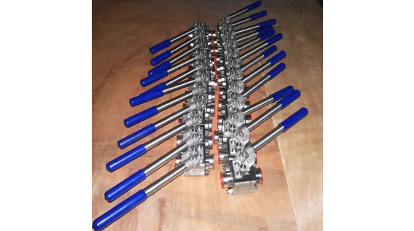 Spring Loaded Lever Ball Valve, ASTM A182 F316, 1 IN, CL800 | Landee