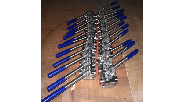 A182 F316 & 316L Spring Loaded Ball Valve, 1IN, CL800, Reduced Bore ...