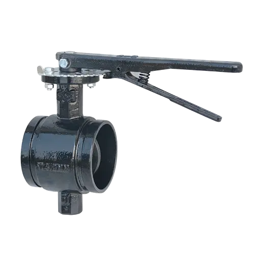 Butterfly Valves, High Performance Butterfly Valves - Landee