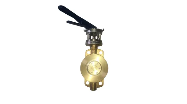 ASTM B148 C95400 Lug Butterfly Valve, 2 Inch, 150 LB, Lever | Landee