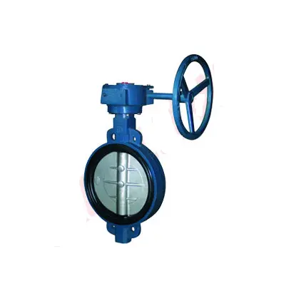 ASTM A182 F316L Butterfly Valve, 72 Inch, DN1800, 150 LB - Landee
