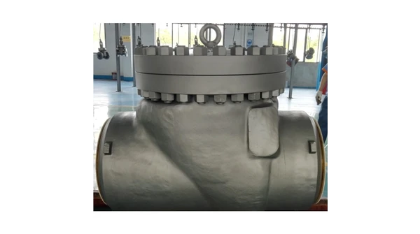 API 6D, API 594, BS 1868, ASME B16.3 Swing Check Valve, RF, BW | Landee