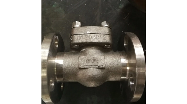 Monel 400 Swing Check Valve, 1 Inch, Class 150, BS 1868 Flanged End ...