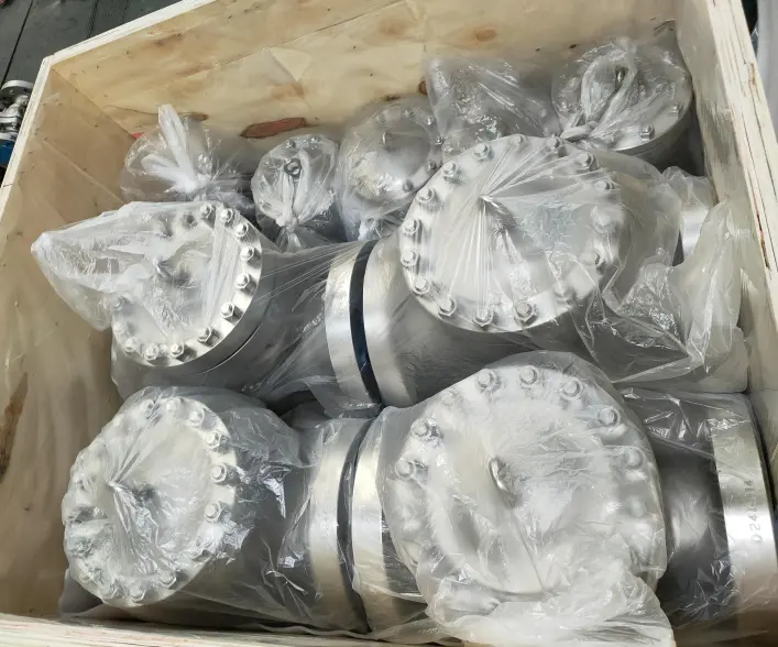 ASTM A990 6A Swing Check Valve, 10 Inch, 150 LB, API 6D, RF - Landee