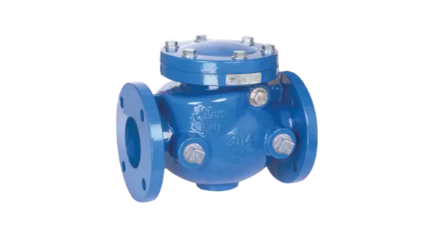 AWWA C508 Swing Check Valve, 300 PSI, Rubber/Metal Seal | Landee