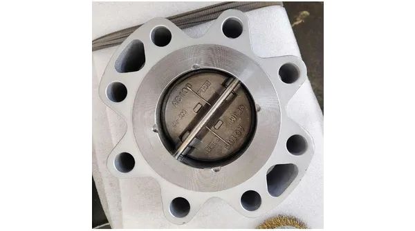 Dual-Plate Lug Check Valve, API 594 Type A, A216 WCB, 4 Inch | Landee