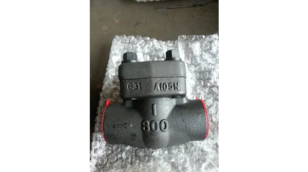 API 602 Check Valves A105 13%Cr 1 Inch | Landee