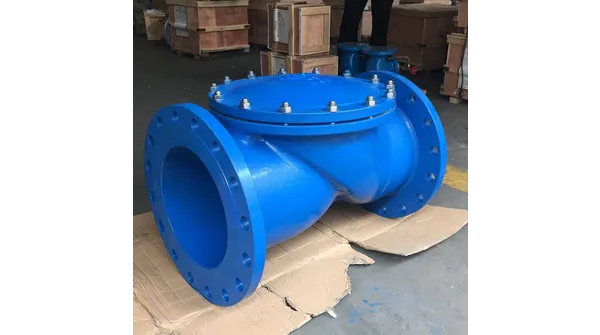 Rubber Disc Check Valve, DI ASTM A536, 2-36 Inch, PN16, RF | Landee