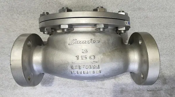 ASTM A351 CF3M Swing Check Valve, BS 1868, 3 Inch, CL150, RF | Landee