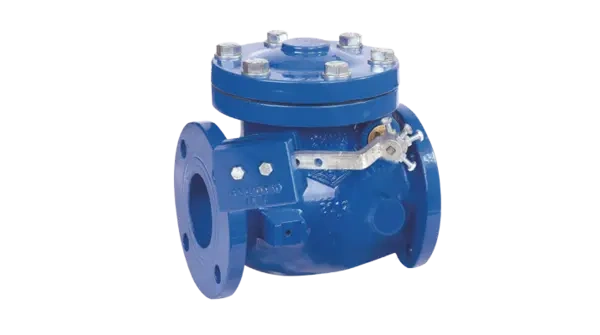 Swing Check Valve with Weight & Lever, 300 PSI, FBE Coated | Landee