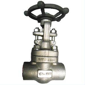 API 602 Gate Valve, A182 F304, 1/2IN, 900LB, SS304+STL Trim - Landee