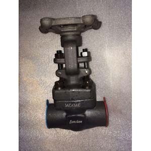 ASTM A350 LF2 Gate Valve, 800LB, 3/4 Inch, API 602 - Landee