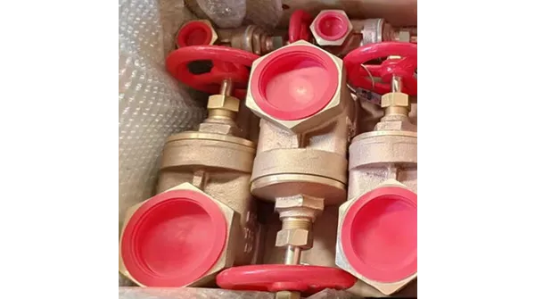 Bronze ASTM B62 Gate Valve, MSS SP-80, 2 Inch, CL150, FNPT | Landee