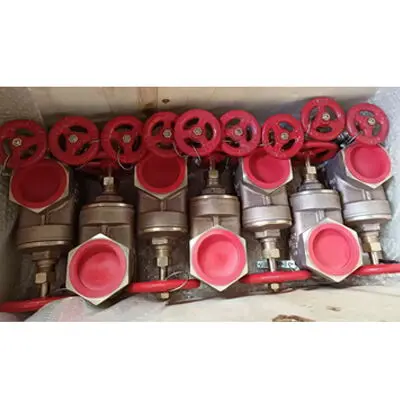 MSS SP-80 Gate Valve, Bronze, ASTM B62, 1/2 IN, CL150, NRS - Landee