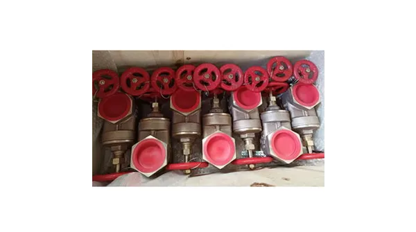 MSS SP-80 Gate Valve, Bronze, ASTM B62, 1/2 IN, CL150, NRS - Landee