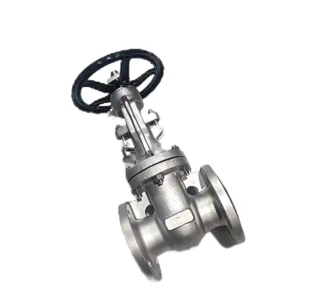 Stainless Steel Gate Valve, ASTM A351 CF8, 2 Inch, CL150, RF - Landee
