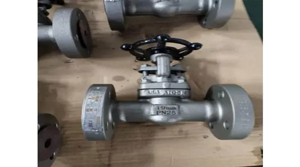 ASTM A105N Gate Valves, Carbon Steel, DN19, PN25, Flanged | Landee
