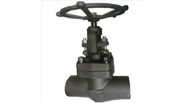 API 602 Globe Valve, ASTM A182 F11, 1 Inch, 900LB, Trim 8# | Landee