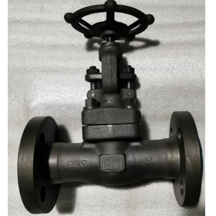 ASTM A350 LF2 Globe Valve, 2IN, 600 LB, API 602, ASME B16.34 - Landee