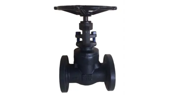 Integral Flanged Globe Valve, API 602, ASTM A105N, 1/2-2 Inch - Landee