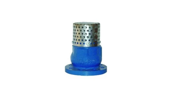 Cast Ductile Iron Foot Valve, 6 Inch, 150 LB, ANSI, DIN, BS | Landee