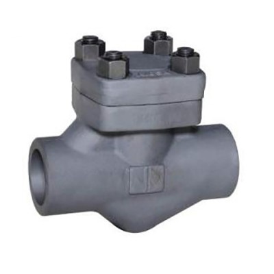 Bolted Bonnet Check Valve, ASME B16.34, 1/2-2 IN, 900-1500 LB - China ...